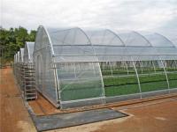 China Mini Greenhouses UV Resistant Agricultural Durable Plastic Film and Sides Ventilation for sale