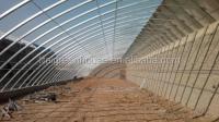 China Film Cover Passive Solar Greenhouse for Sustainable Flower and Vegetable Cultivation for sale