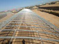 China Film Cover Passive Solar Greenhouse for Sustainable Flower and Vegetable Cultivation for sale