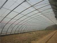 China Film Cover Passive Solar Greenhouse for Sustainable Flower and Vegetable Cultivation for sale