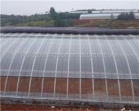 China Film Cover Passive Solar Greenhouse for Sustainable Flower and Vegetable Cultivation for sale