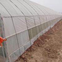 China Mini Greenhouse Galvanized Garden Greenhouses for Commercial Vegetable Growing for sale