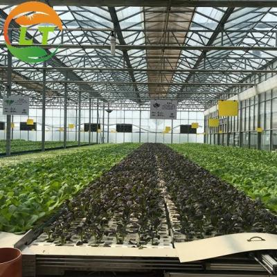 China 50m Length Glass Greenhouse for Sightseeing Stable Structure and Customizable for sale