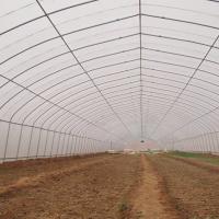 China Mini Greenhouse Galvanized Garden Greenhouses for Commercial Vegetable Growing for sale