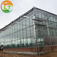 China 50m Length Glass Greenhouse for Sightseeing Stable Structure and Customizable for sale