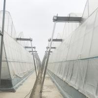 China Automatic Controlling System Single Layer Greenhouse for Commercial Korean Model Film for sale
