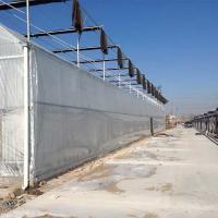 China Multi Span Plastic Film Greenhouses for Vegetable Farming 50m Length Stable Structure for sale