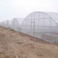 China Single-Span Agricultural Mini Greenhouse for Vegetables Easily Assembled for sale