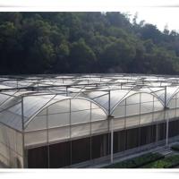 China Customized Multi Span Agriculture Greenhouse for Vegetable Optional Irrigation System for sale