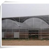 China Customized Multi Span Agriculture Greenhouse for Vegetable Optional Irrigation System for sale