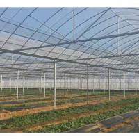 China Customized Multi Span Agriculture Greenhouse for Vegetable Optional Irrigation System for sale