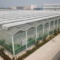 China Green Agricultural Glass Greenhouse with 5mm Covering Span Width 9.6m 10.8m 12m for sale