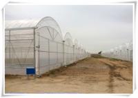 China Customized Multi Span Agriculture Greenhouse for Vegetable Optional Irrigation System for sale