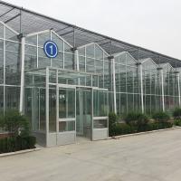 China Green Agricultural Glass Greenhouse with 5mm Covering Span Width 9.6m 10.8m 12m for sale