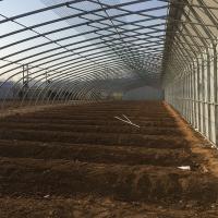 China Cold Areas Agriculture Single Layer Solar Sunlight Greenhouse with Proper Temperature for sale