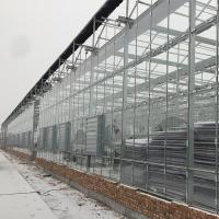 China Green Agricultural Glass Greenhouse with 5mm Covering Span Width 9.6m 10.8m 12m for sale