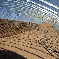 China Cold Areas Agriculture Single Layer Solar Sunlight Greenhouse with Proper Temperature for sale