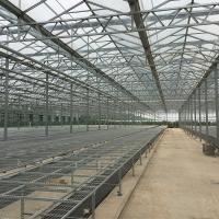 China Green Agricultural Glass Greenhouse with 5mm Covering Span Width 9.6m 10.8m 12m for sale