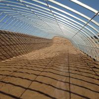 China Cold Areas Agriculture Single Layer Solar Sunlight Greenhouse with Proper Temperature for sale