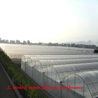 China 8.0m 10.0m Span Width Agriculture Greenhouse for Tomato and Vegetable for sale