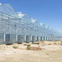 China 8.0m 10.0m Span Width Agriculture Greenhouse for Tomato and Vegetable for sale