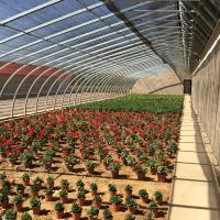 China Agricultural Solar Greenhouse with Outside/Inside Shading System and Automatic Control for sale