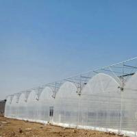 China 8.0m 10.0m Span Width Agriculture Greenhouse for Tomato and Vegetable for sale