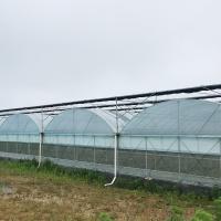 China Durable Hot-dipped Galvanized Frame Plastic Film Agricultural Greenhouse with PE Span Single/ Multi for sale