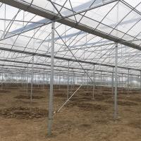 China Durable Hot-dipped Galvanized Frame Plastic Film Agricultural Greenhouse with PE Span Single/ Multi for sale