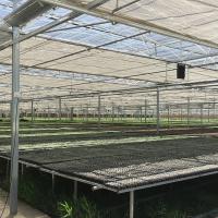 China Durable Hot-dipped Galvanized Frame Plastic Film Agricultural Greenhouse with PE Span Single/ Multi for sale