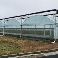 China Durable Hot-dipped Galvanized Frame Plastic Film Agricultural Greenhouse with PE Span Single/ Multi for sale