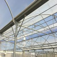 China Roof Height 4.8-7.8m 200 Micron UV Resistant Plastic Film Greenhouse for Vegetable for sale