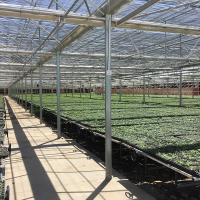 China Roof Height 4.8-7.8m 200 Micron UV Resistant Plastic Film Greenhouse for Vegetable for sale