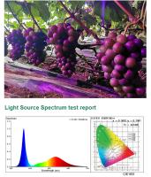 China High Luminous Flux 48000lm 36W Greenhouse Seedling Plant Growth Lamp with 2- from Direct for sale