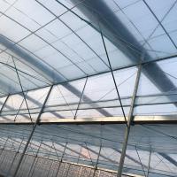 China Hot-dipped Galvanized Frame Multi-span Agricultural Film Greenhouse for sale