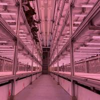 China 40ft Container Greenhouse Farm for Temperature Climate Controlled Vegetable Growth for sale