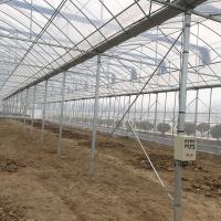 China Hot-dipped Galvanized Frame Multi-span Agricultural Film Greenhouse for sale