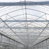 China Hot-dipped Galvanized Frame Multi-span Agricultural Film Greenhouse for sale