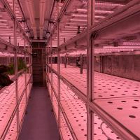 China 40ft Container Greenhouse Farm for Temperature Climate Controlled Vegetable Growth for sale