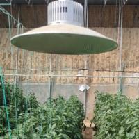 China Samsung LED Type Full Spectrum Grow Light for Greenhouse 36w 45w 50w E27 for sale