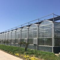 China Advanced Hydroponic System for Growing Vegetables in Agricultural Greenhouses for sale