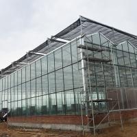 China Advanced Hydroponic System for Growing Vegetables in Agricultural Greenhouses for sale