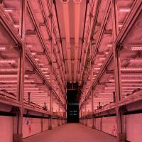 China Ventilation fan 40ft Container Greenhouse for Advanced Plant Growth for sale