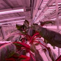 China Ventilation fan 40ft Container Greenhouse for Advanced Plant Growth for sale