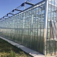 China Multi-Span Agricultural Greenhouse for Growing Vegetable Fruits Flowers in Any Season for sale
