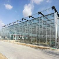 China Multi-Span Agricultural Greenhouses Modern Tech Glass Greenhouse for Agriculture for sale