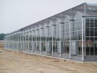 China Multi-Span Agricultural Greenhouses Modern Tech Glass Greenhouse for Agriculture for sale