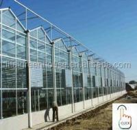 China Multi-Span Agricultural Greenhouses Modern Tech Glass Greenhouse for Agriculture for sale