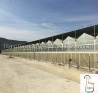 China Multi-Span Agricultural Greenhouses Modern Tech Glass Greenhouse for Agriculture for sale