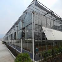 China Multi-Span Agricultural Greenhouses Modern Tech Glass Greenhouse for Agriculture for sale
